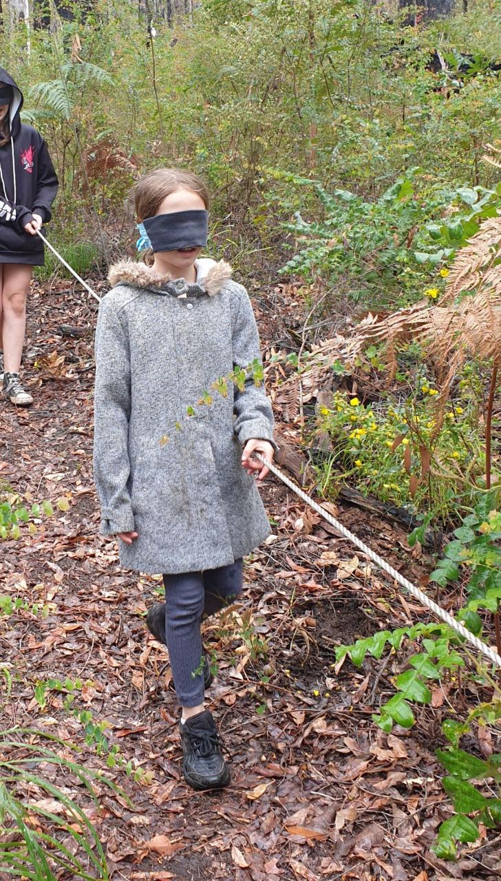 Forest Detectives + Sense Trail @ Wellington Discovery Forest - Parks ...