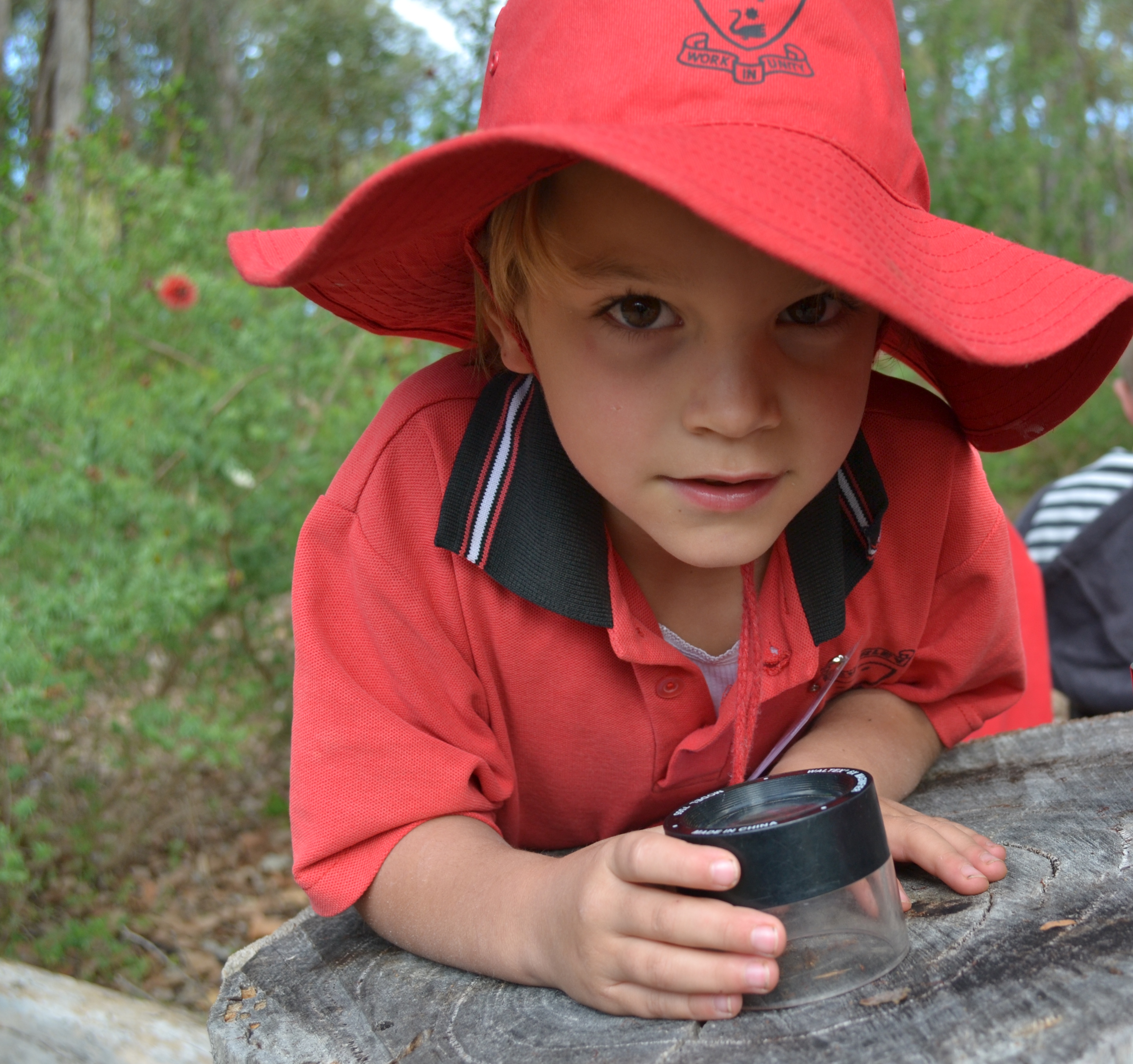 Incredible invertebrates - Parks and Wildlife Service WA Reservations