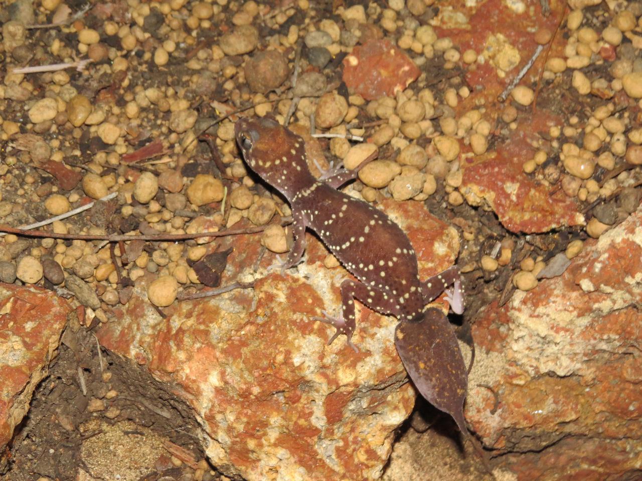 Perth January School Holiday Activities 2025