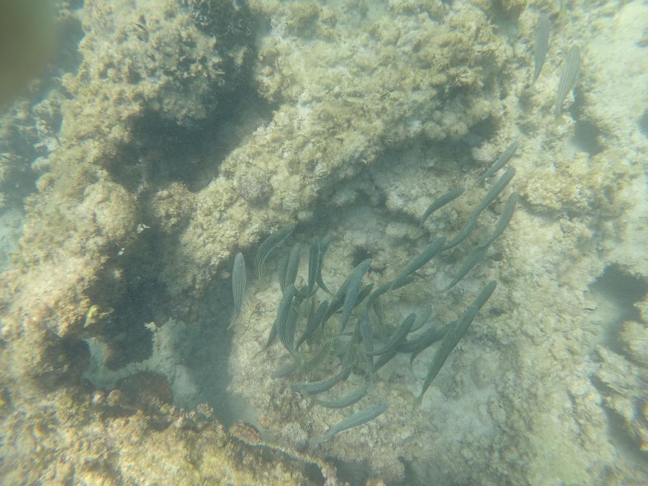 Beach and Reef - Parks and Wildlife Service WA Reservations
