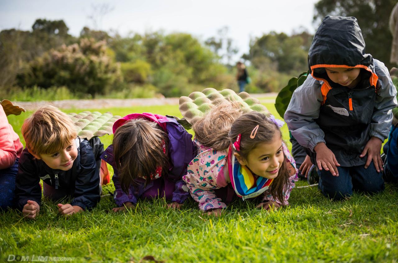 Squelching through Swampland - Parks and Wildlife Service WA Reservations