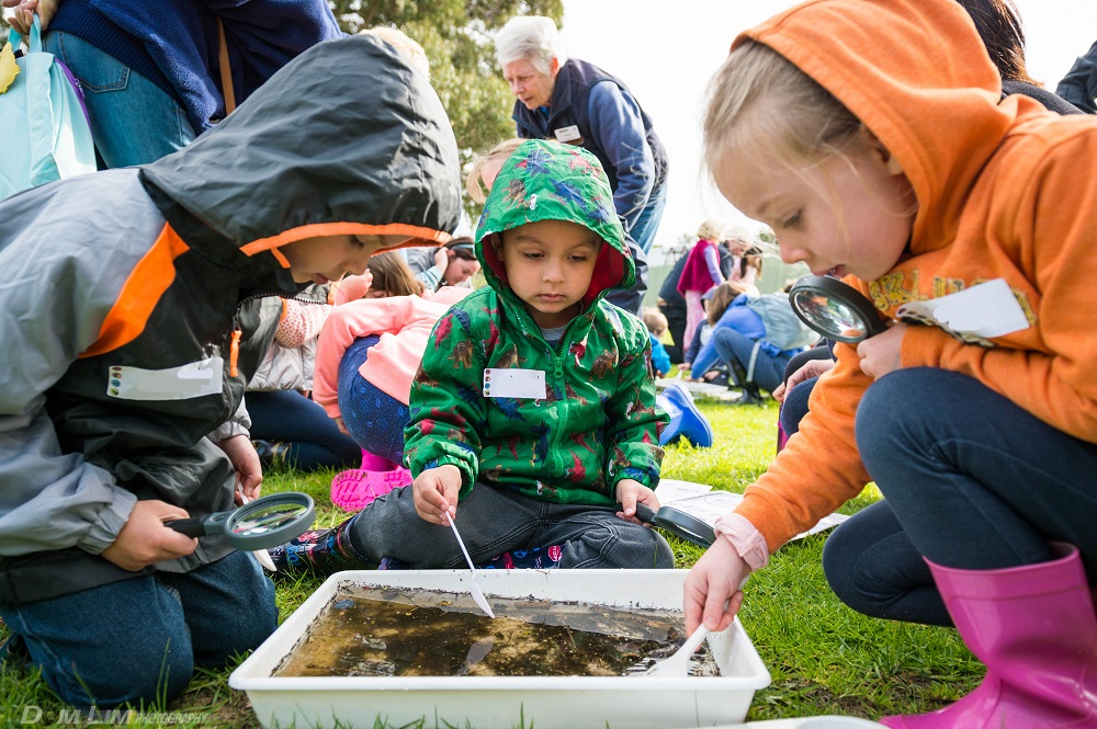 Squelching through Swampland - Parks and Wildlife Service WA Reservations