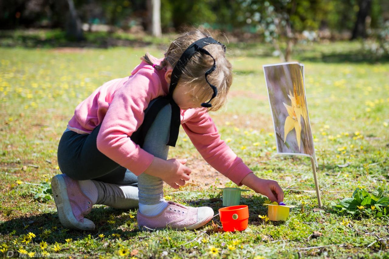 Wander through Wildflowerland - Parks and Wildlife Service WA Reservations