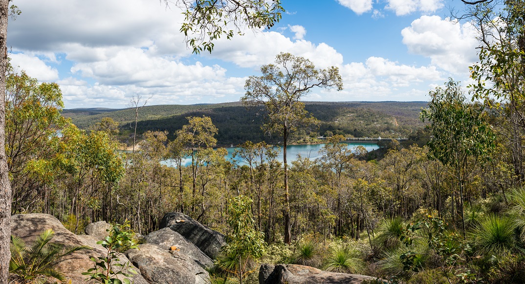 Weir view loop walk (3-6)- self guided - Perth Metro - Parks and ...