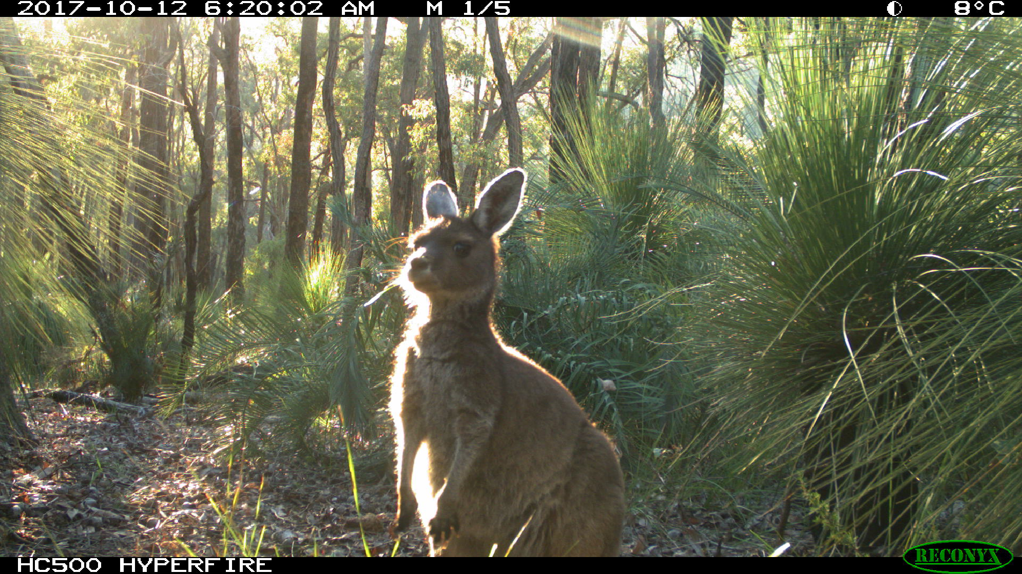 Wildlife Monitoring - Parks and Wildlife Service WA Reservations