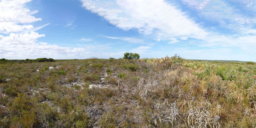 Dieback - bulldozing our biodiversity (11-12)-Perth Metro - Parks and ...