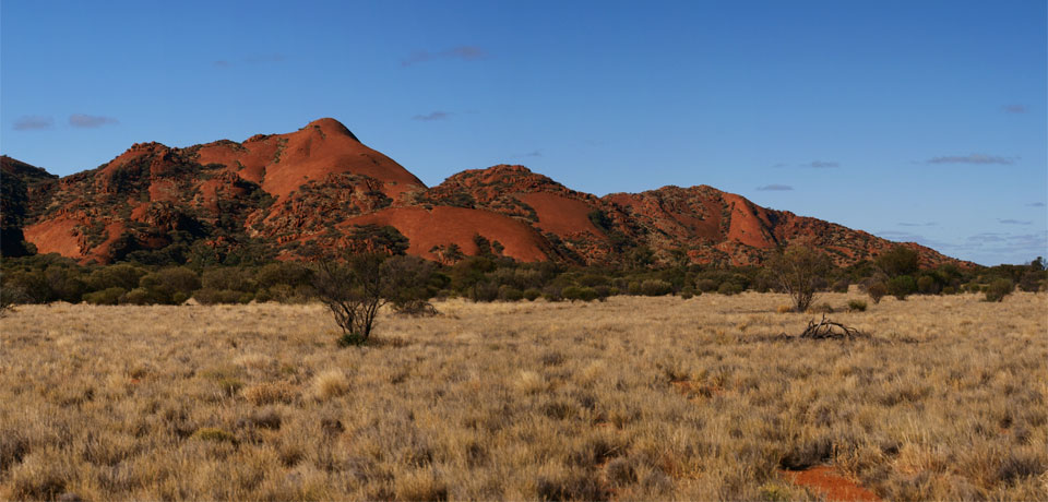 Expedition to Pitjantjatjara Lands (APY) - Diamantina Touring Company ...