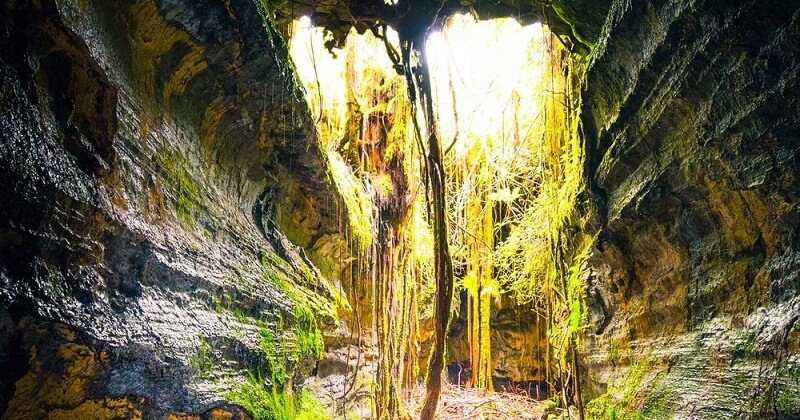 Hawaii Forest & Trail - Big Island: Volcano Unveiled - Kona - BEST OF ...
