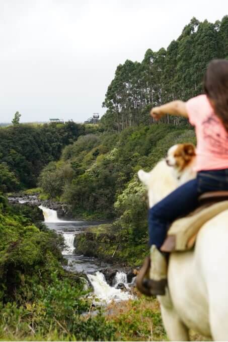 Updated - Wailea Horseback Adventure - Big Island: 2.5 hour Wailea ...