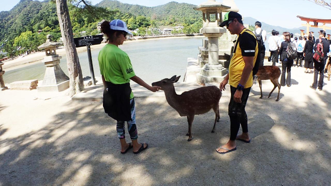 SUP Tour of the Great Shrine Gate of Itsukushima Shrine - Attractive ...