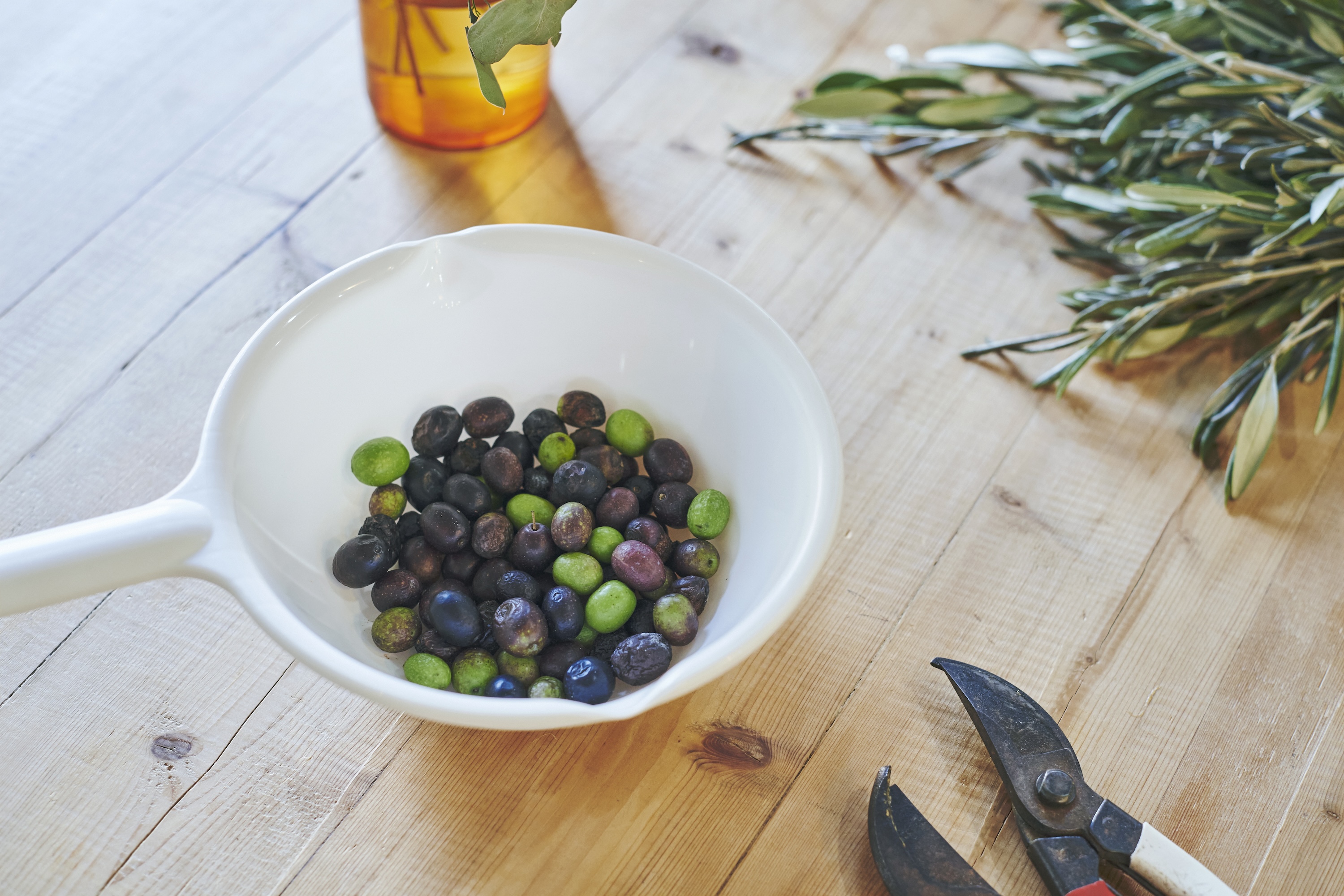 Premium Olive Oil Experience on Etajima – Taste Award-Winning Gold ...