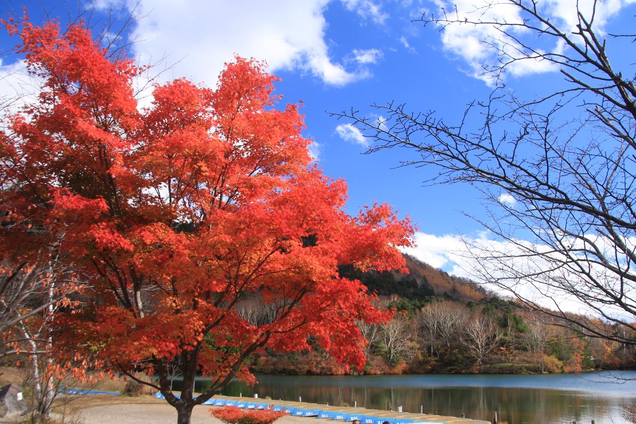 Refreshing Hike Around Yuno Lake: Revel in the Essence of Nikko's ...