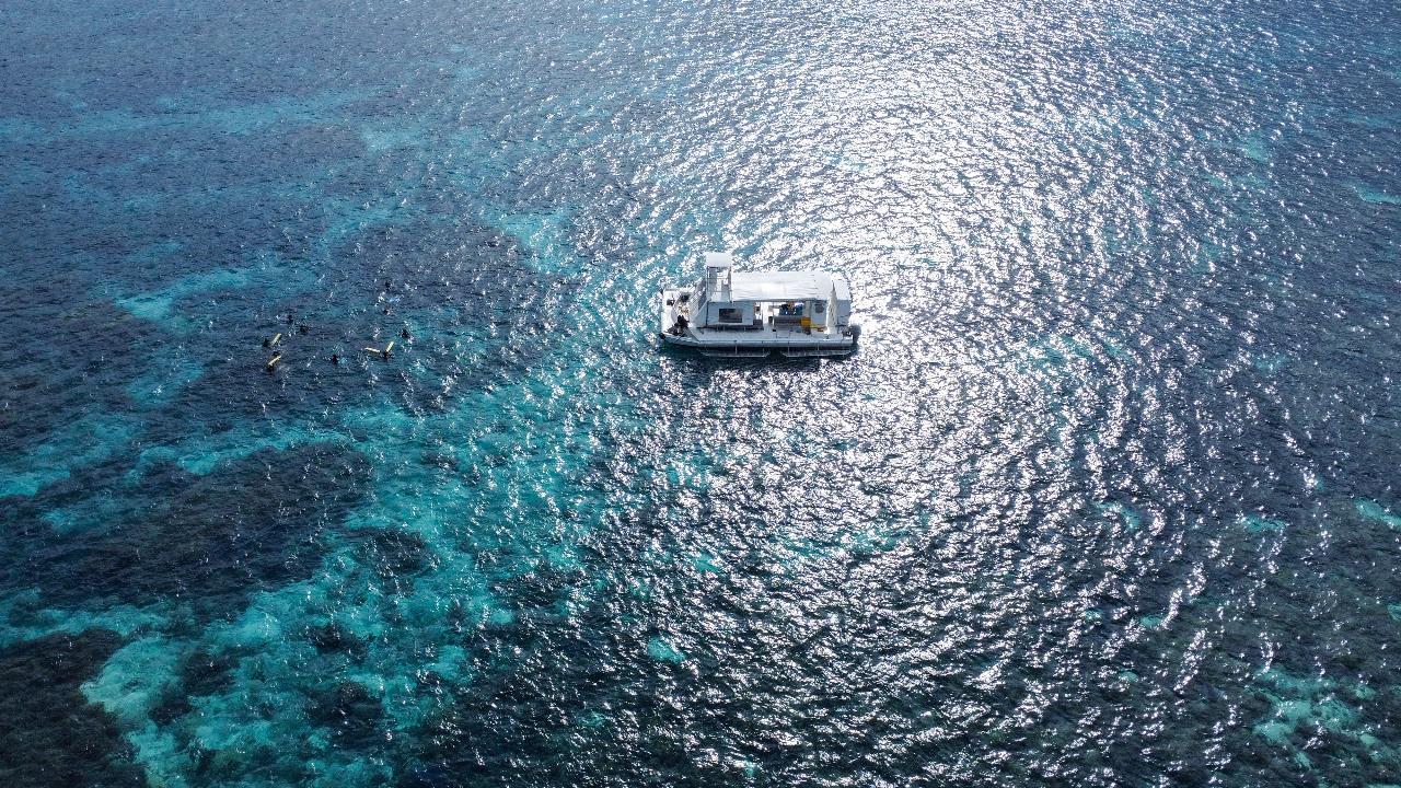 【One of the largest coral reef areas in the northern hemisphere】Private ...