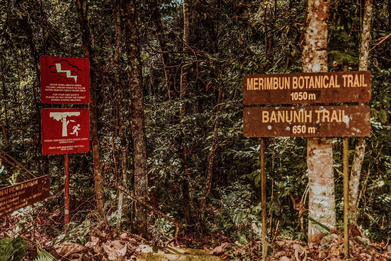 Tasek Merimbun - BorneoGuide Reservations