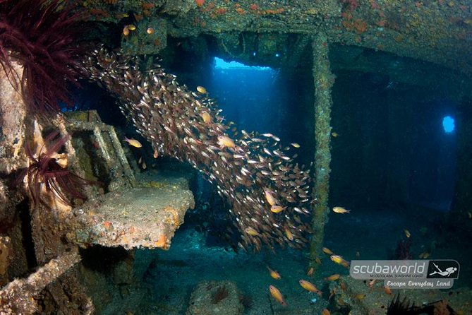 ex-HMAS Brisbane wreck dive - Manta Lodge & Scuba Centre Reservations