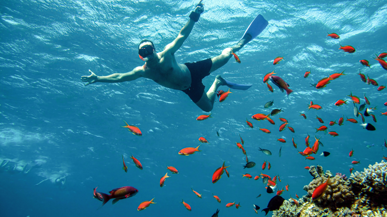 Snorkeling in Underwater Museum MUSA - SAT Mexico Tours and Travel ...