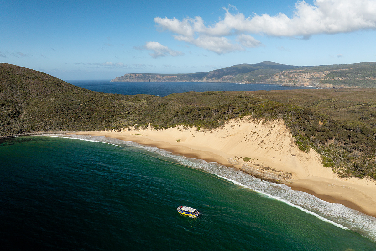 Cape Raoul Cruises Day Tour from Hobart (includes Port Arthur Historic ...
