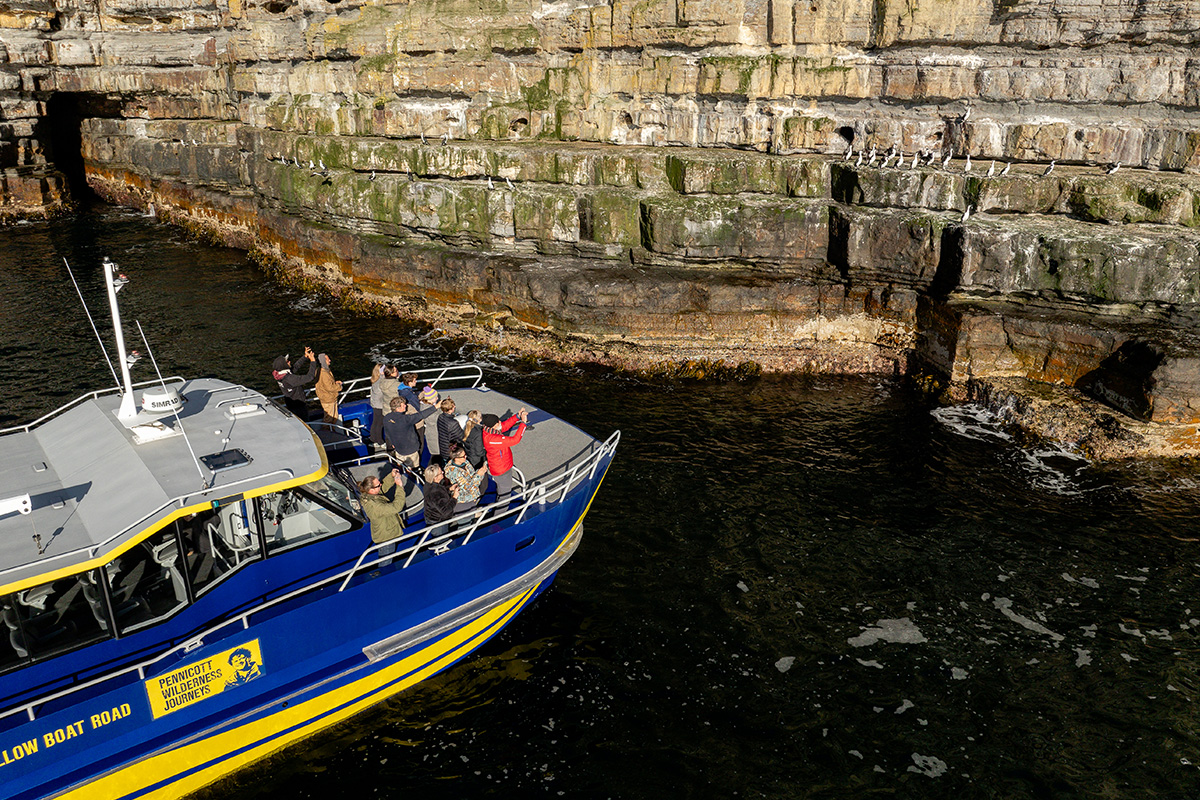 Cape Raoul Cruises (includes Port Arthur Historic Site entry ...