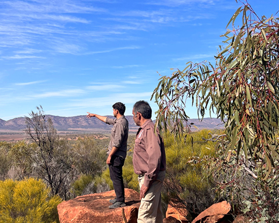 Akur­ra Adnya (Arka­roo Rock) - Adnyamathanha Rock Art Cultural Walk ...