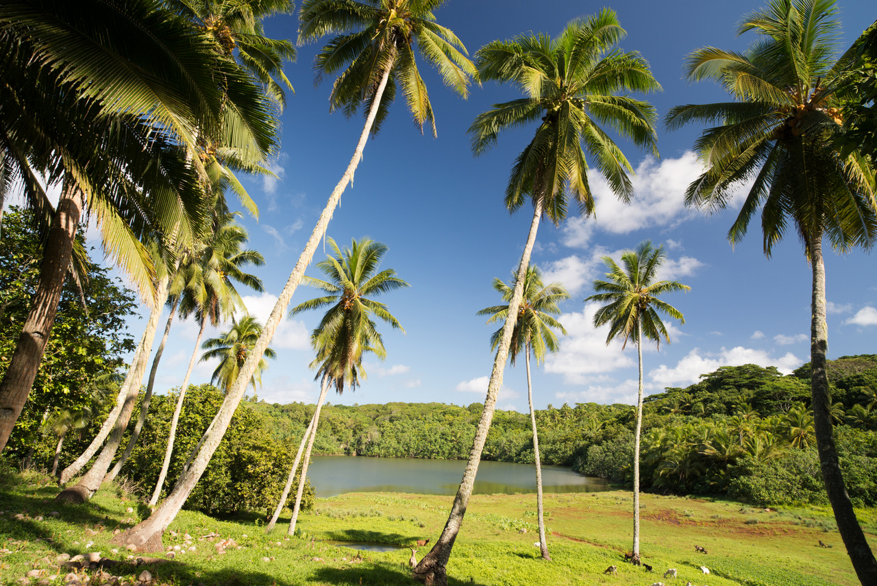 Aitutaki & Atiu Accommodation Packages
