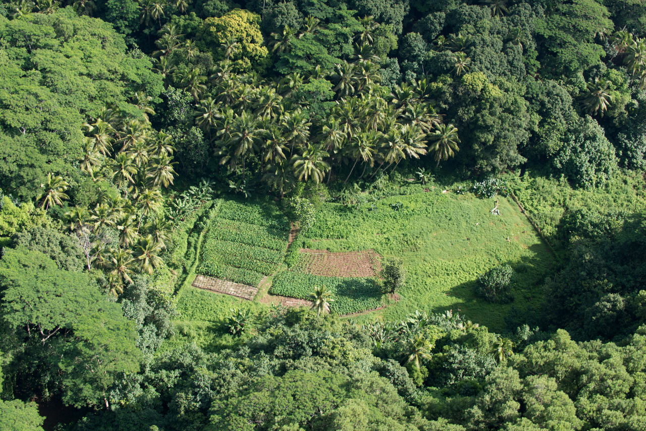 Atiu accommodation packages