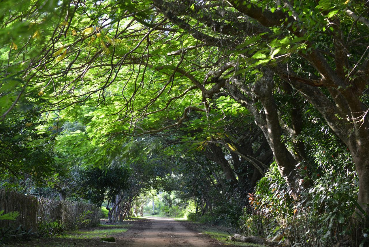 Aitutaki & Atiu Accommodation Packages