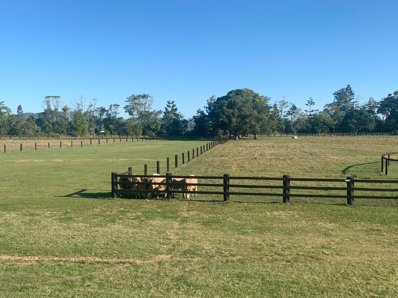 Husk Distillers - Tour and Tasting