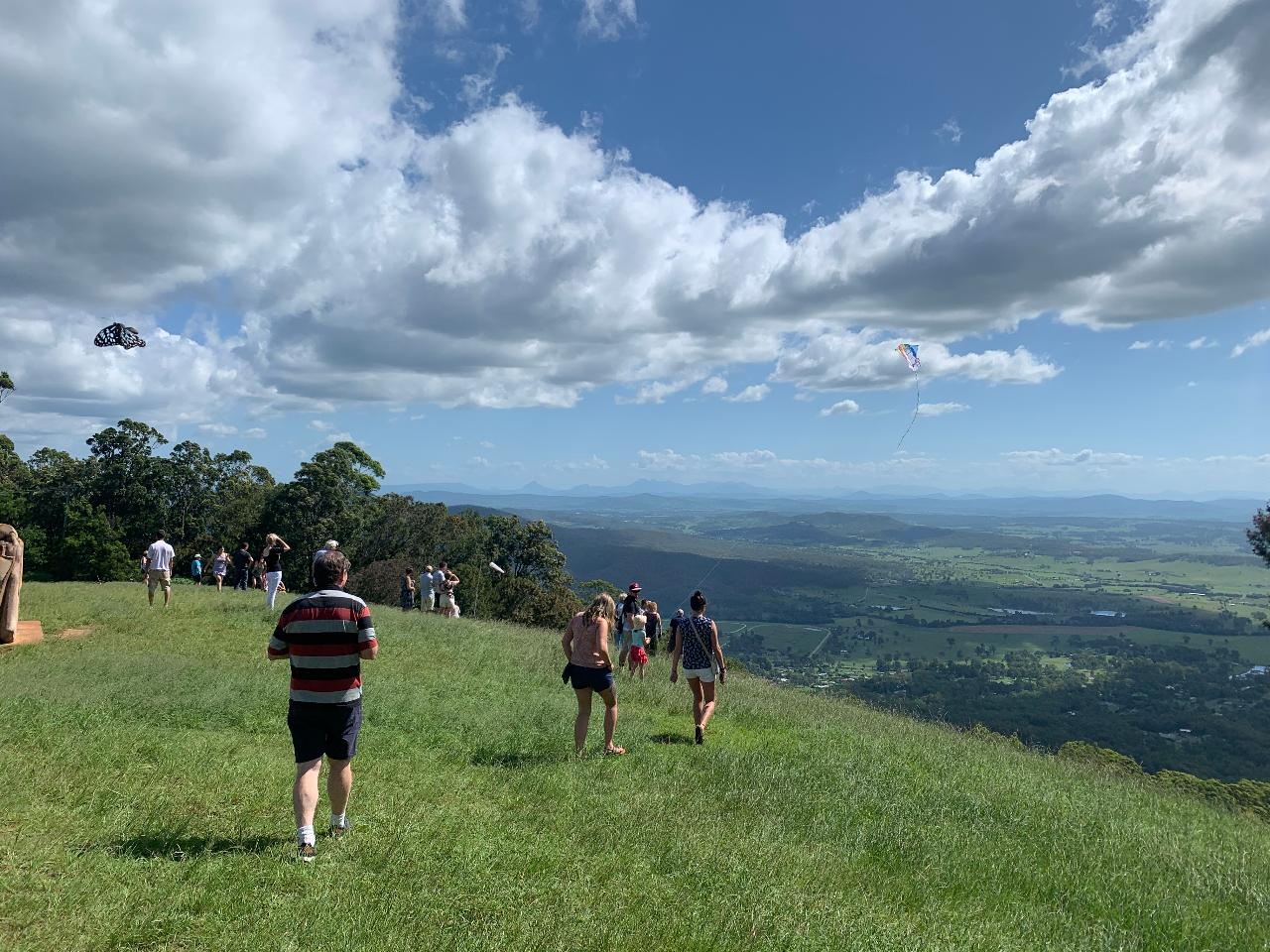 Tamborine Mountain - Hop On Hop Off - From Brisbane - Pineapple Tours ...