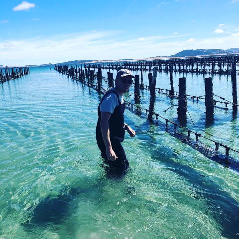 Experience Coffin Bay Oyster Farm and Bay Tour