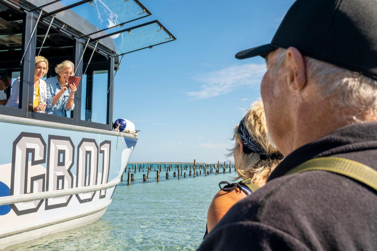 Coffin Bay Oyster Farm & Bay Tour - 12 Oysters - Inc Wading Experience ...