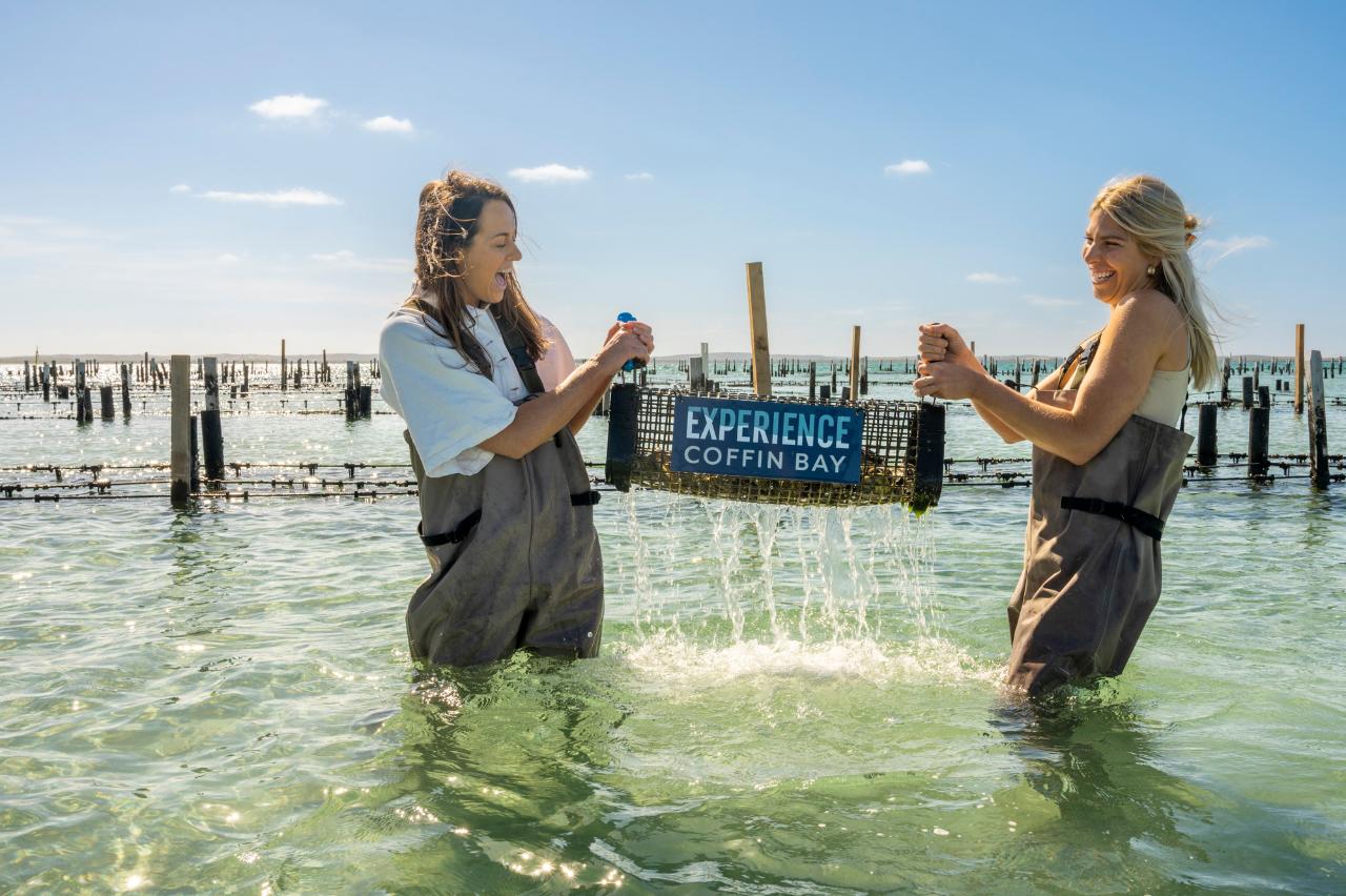 Coffin Bay Oyster Farm & Bay Tour - 12 Oysters - Inc Wading Experience ...
