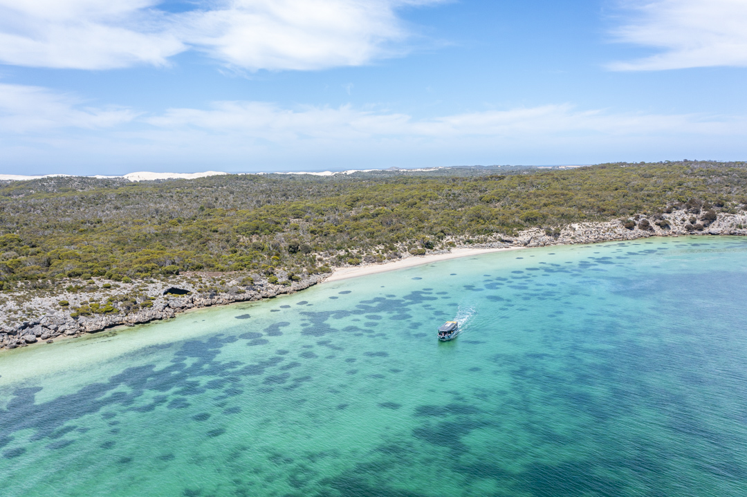 Coffin Bay Oyster Farm & Bay Tour - 12 Oysters - Inc Wading Experience ...