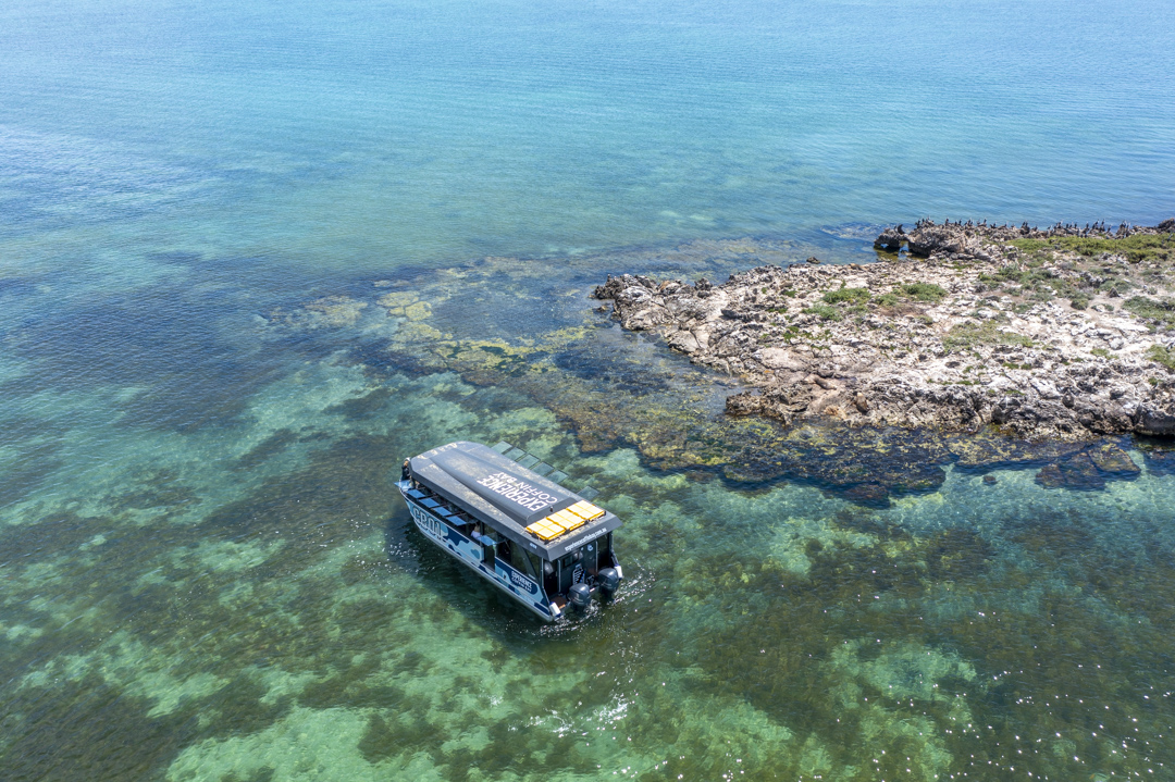 Coffin Bay Oyster Farm & Bay Tour - 12 Oysters - Inc Wading Experience ...