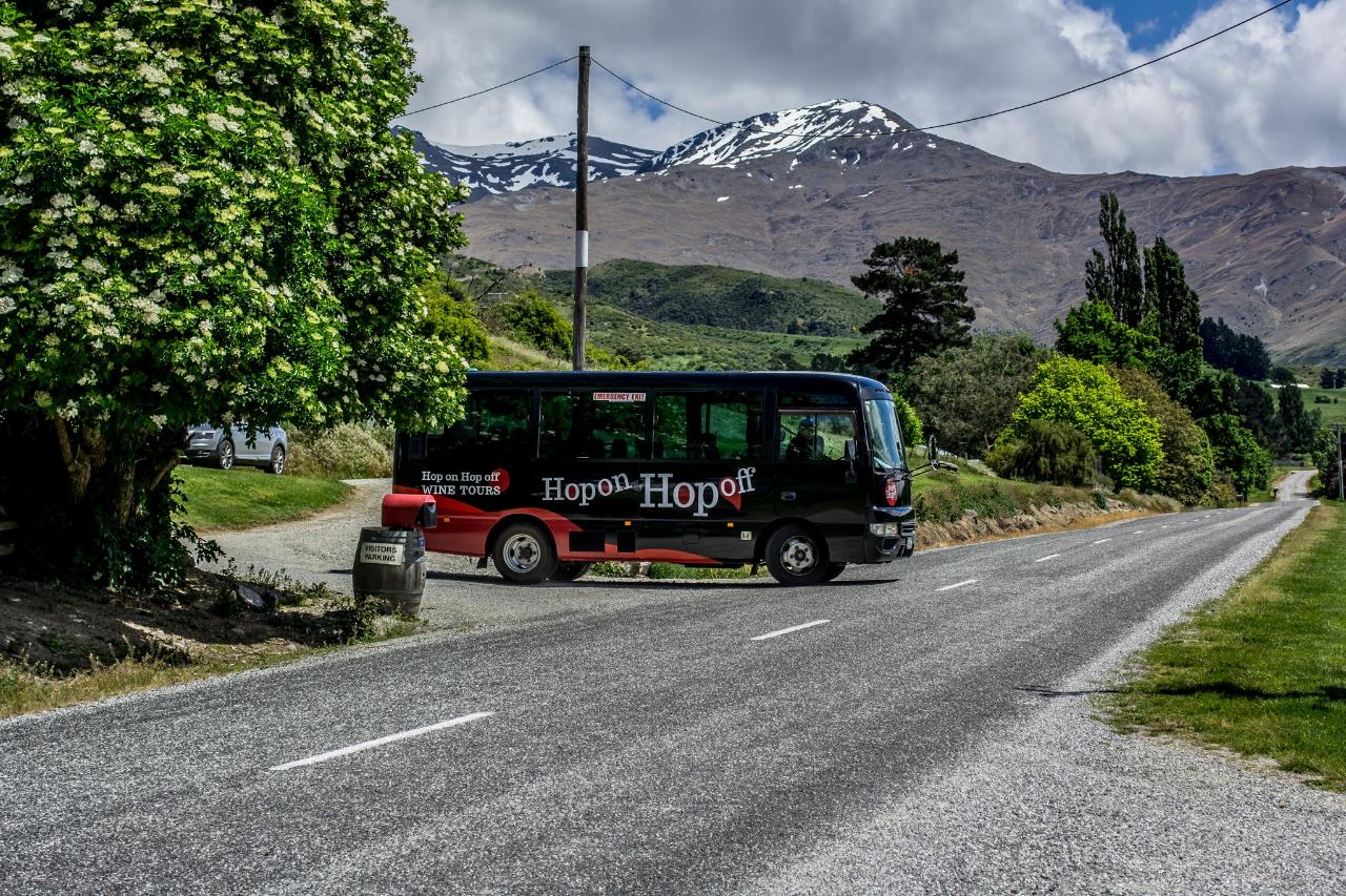 CRUISE SHIP DAYS | Bus Ticket: Picton iSITE→Blenheim→Picton i-SITE ...