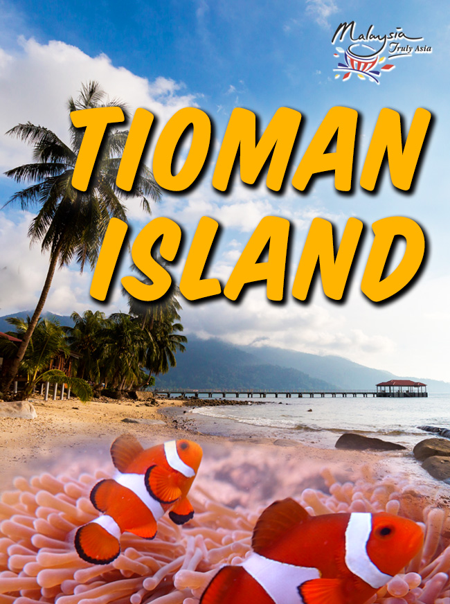 2 Way Coach Transfer Singapore - Mersing/Tg Gemok (Tioman) - Singapore ... 2 Way Coach Transfer Singapore - Mersing/Tg Gemok (Tioman) - Singapore ...