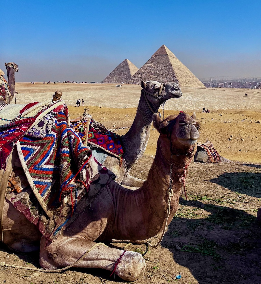 Dr. Alex Himaya 11-Day Journey to Egypt from the Pyramids to the Red ...