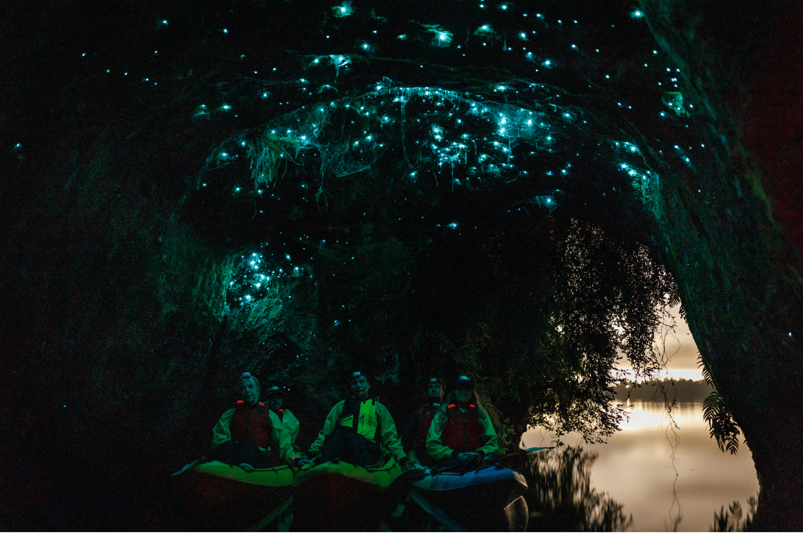 Glow Worm Adventure Kayak - Taiao Adventures Reservations