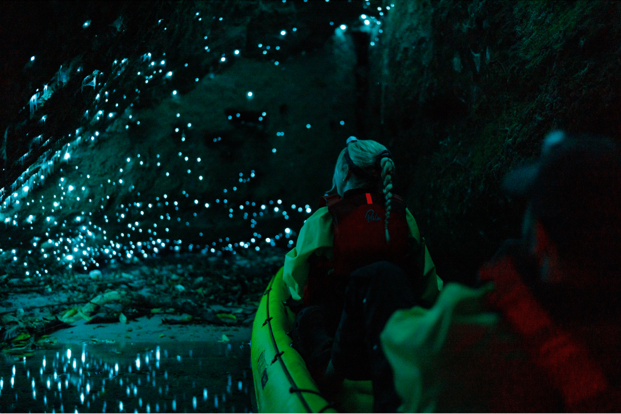 Glow Worm Adventure Kayak - Taiao Adventures Reservations