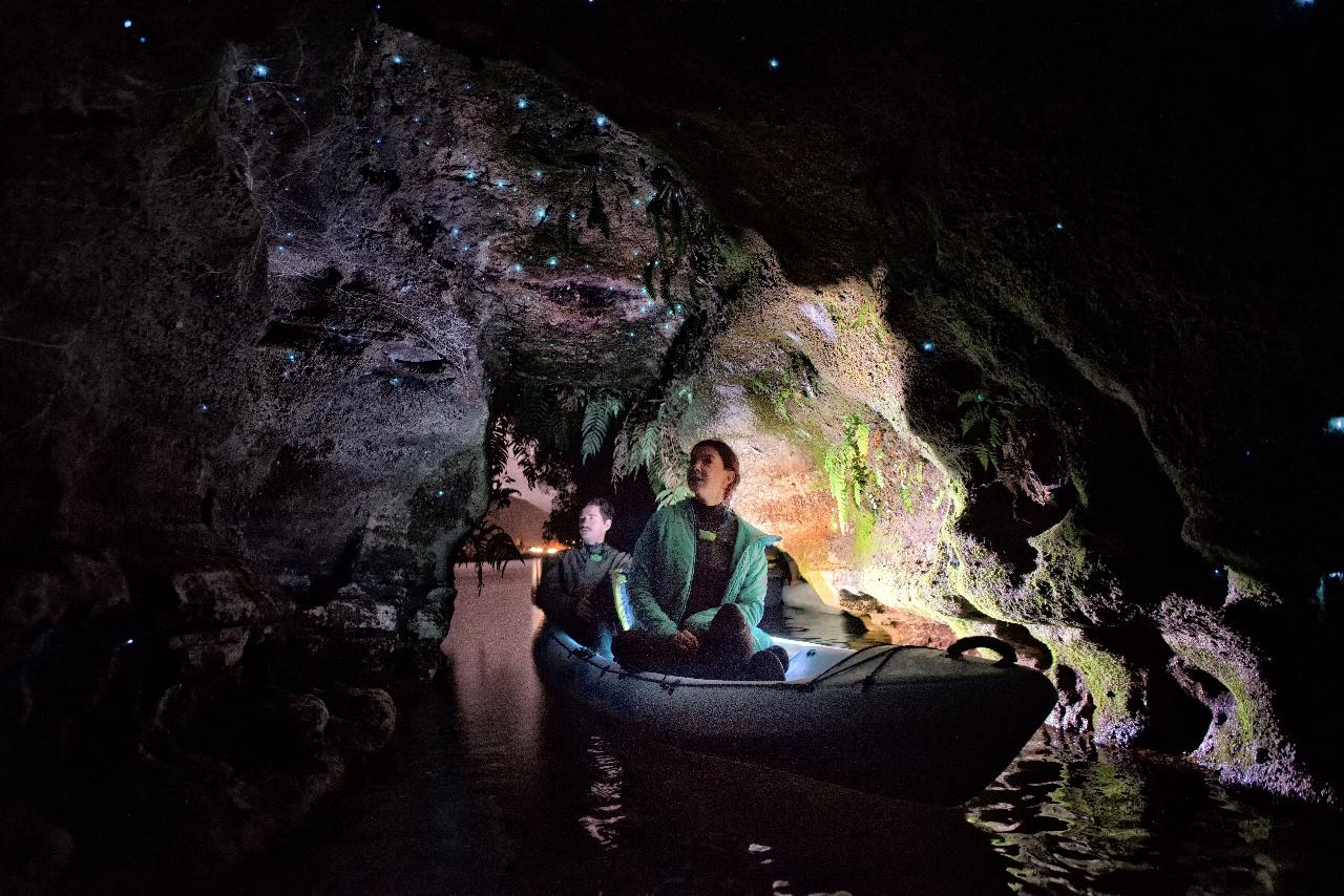 Glow Worm Kayak Tour (Private Guide) - Taiao Adventures Reservations