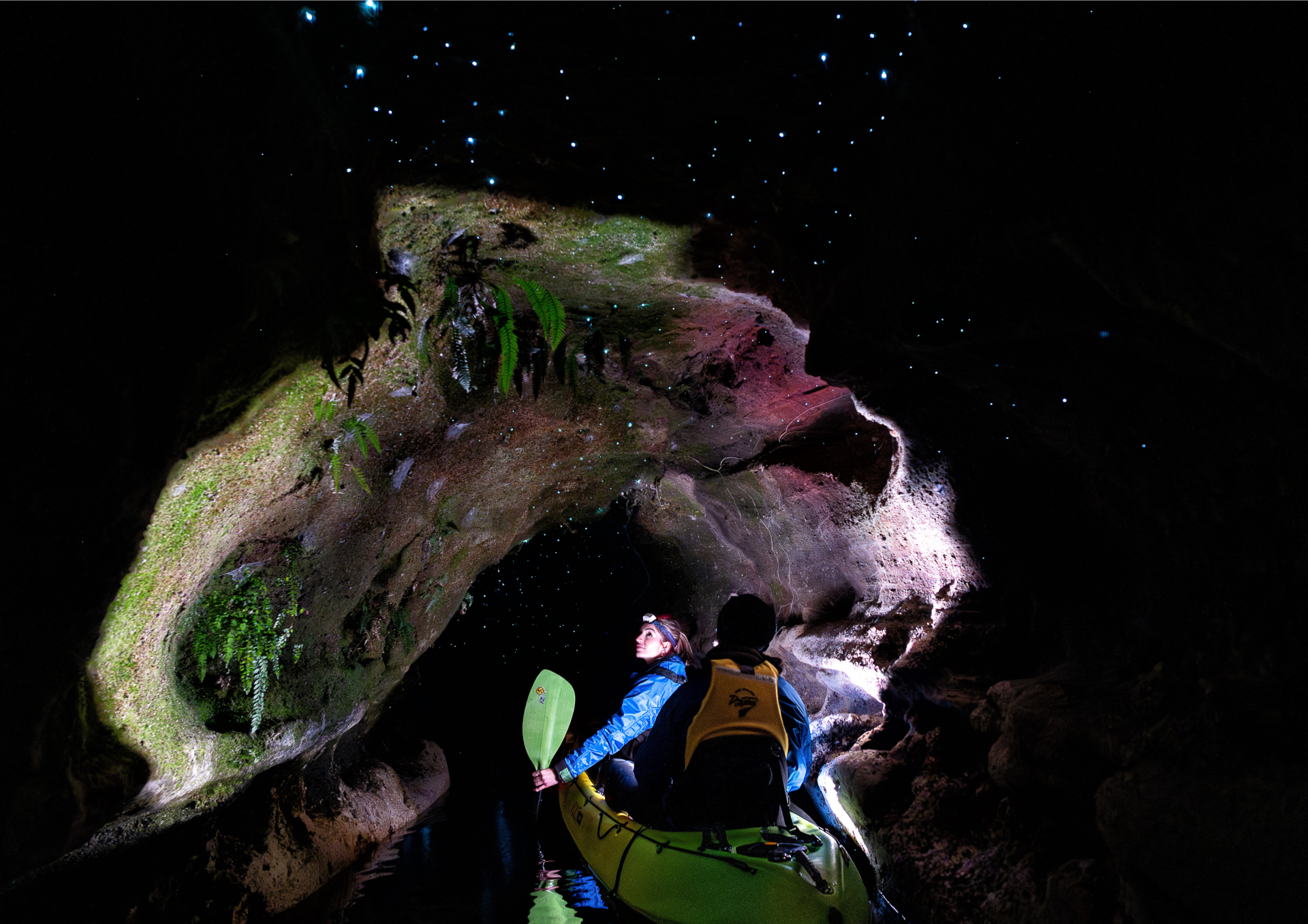 Glow Worm Kayak Tour (Private Guide) - Taiao Adventures Reservations