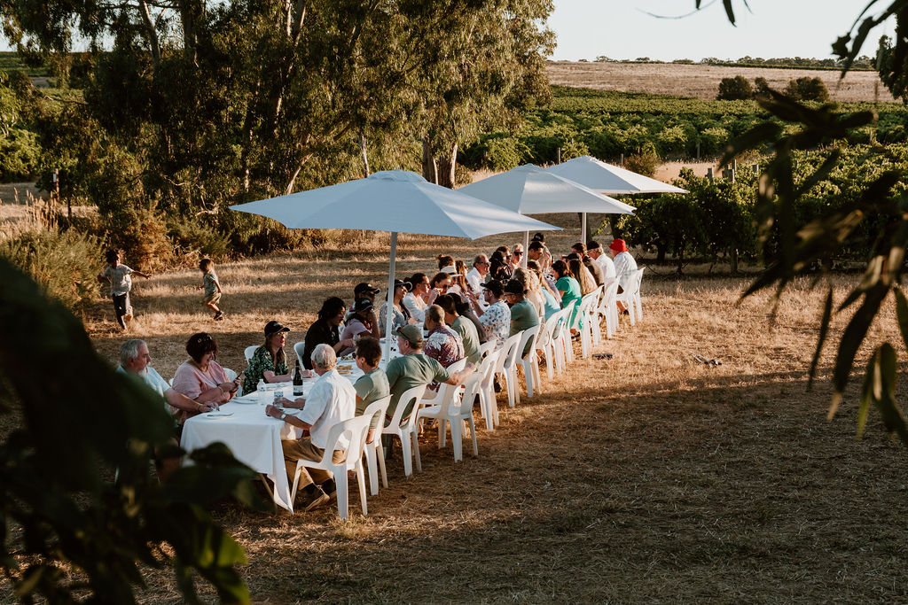 2024 Clare Gourmet - Knappstein Winemaker's Long Lunch in Vineyard ...