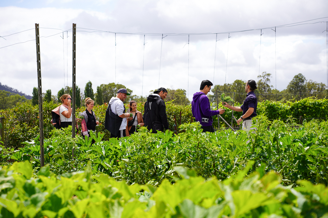 The Ultimate Margan Experience - Hunter Valley Restaurant