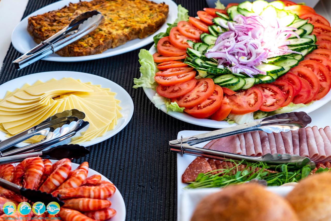 Whale Shark Discovery 2026 - Ocean Eco Adventures Reservations