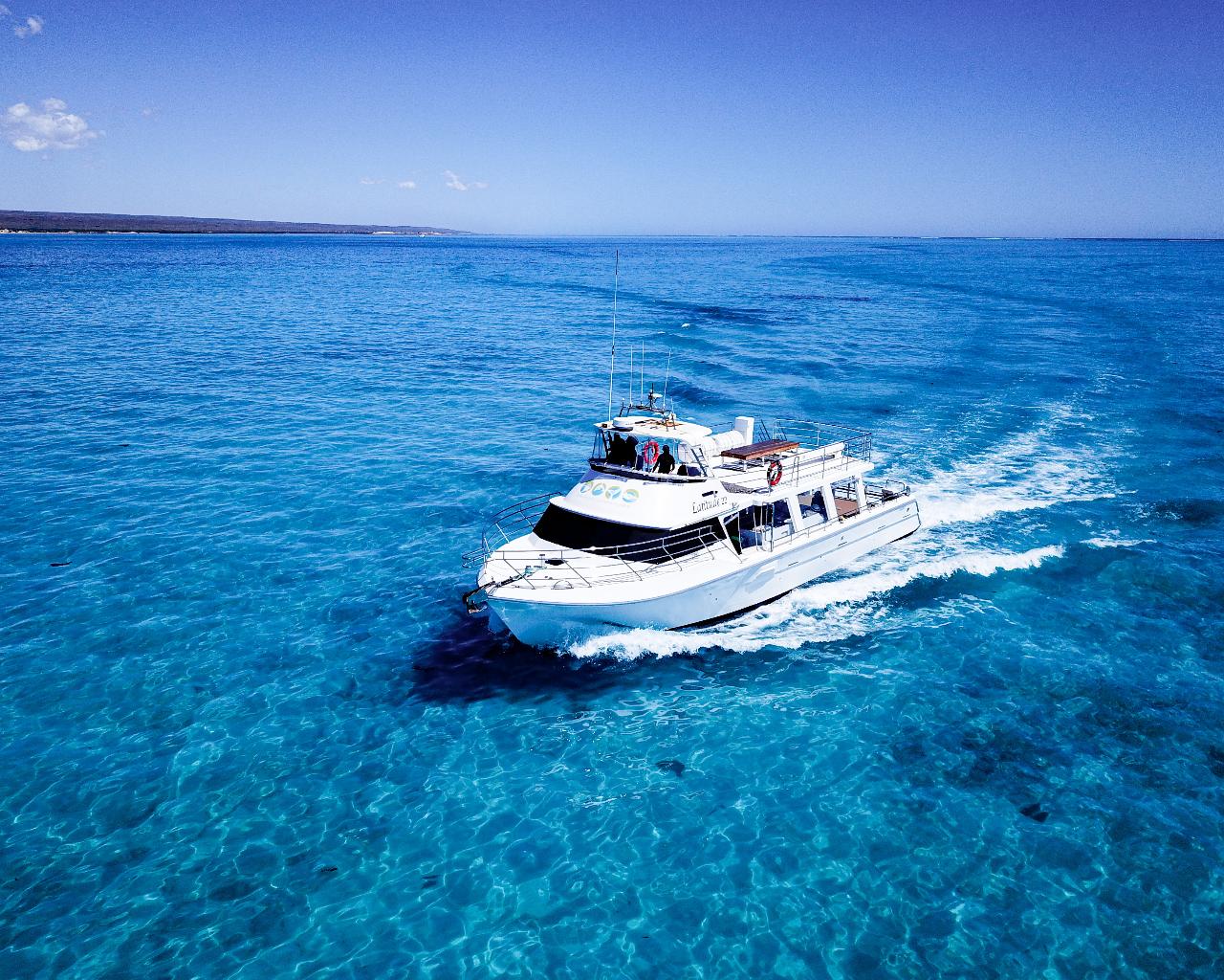 Whale Shark Discovery 2025 - Ocean Eco Adventures Reservations