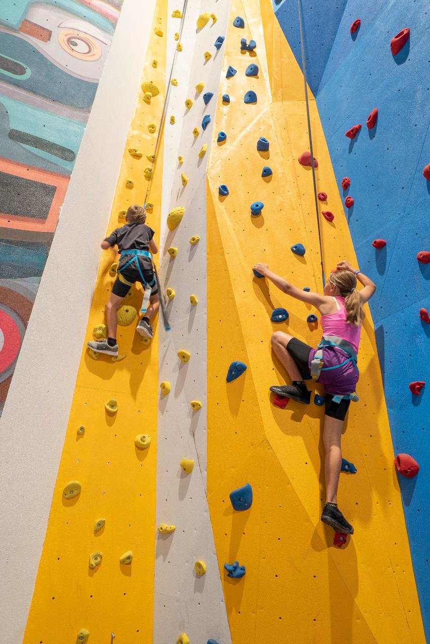 Climbing Pass - 1 Hour - Revolution sports park - North Lakes Reservations