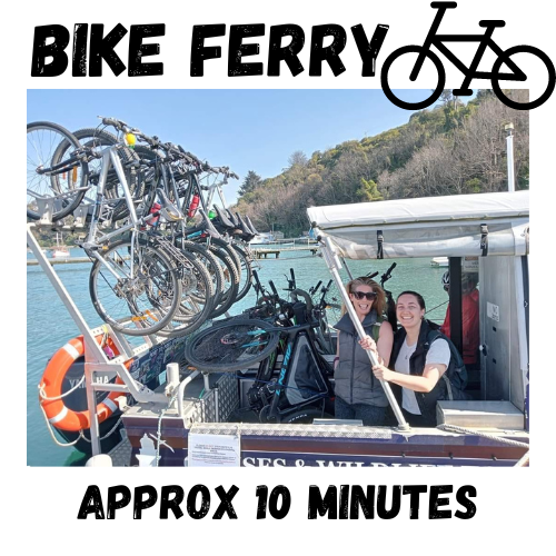 Cycle The Otago Harbour Loop, Bike ferry and rental from Cruise Ship ...