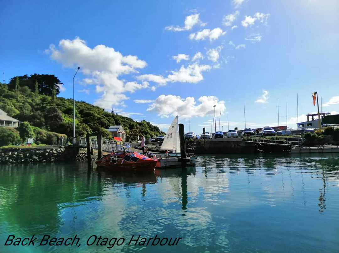 FERRY-Portobello to PORT CHALMERS - Port to Port Cruises and Wildlife ...