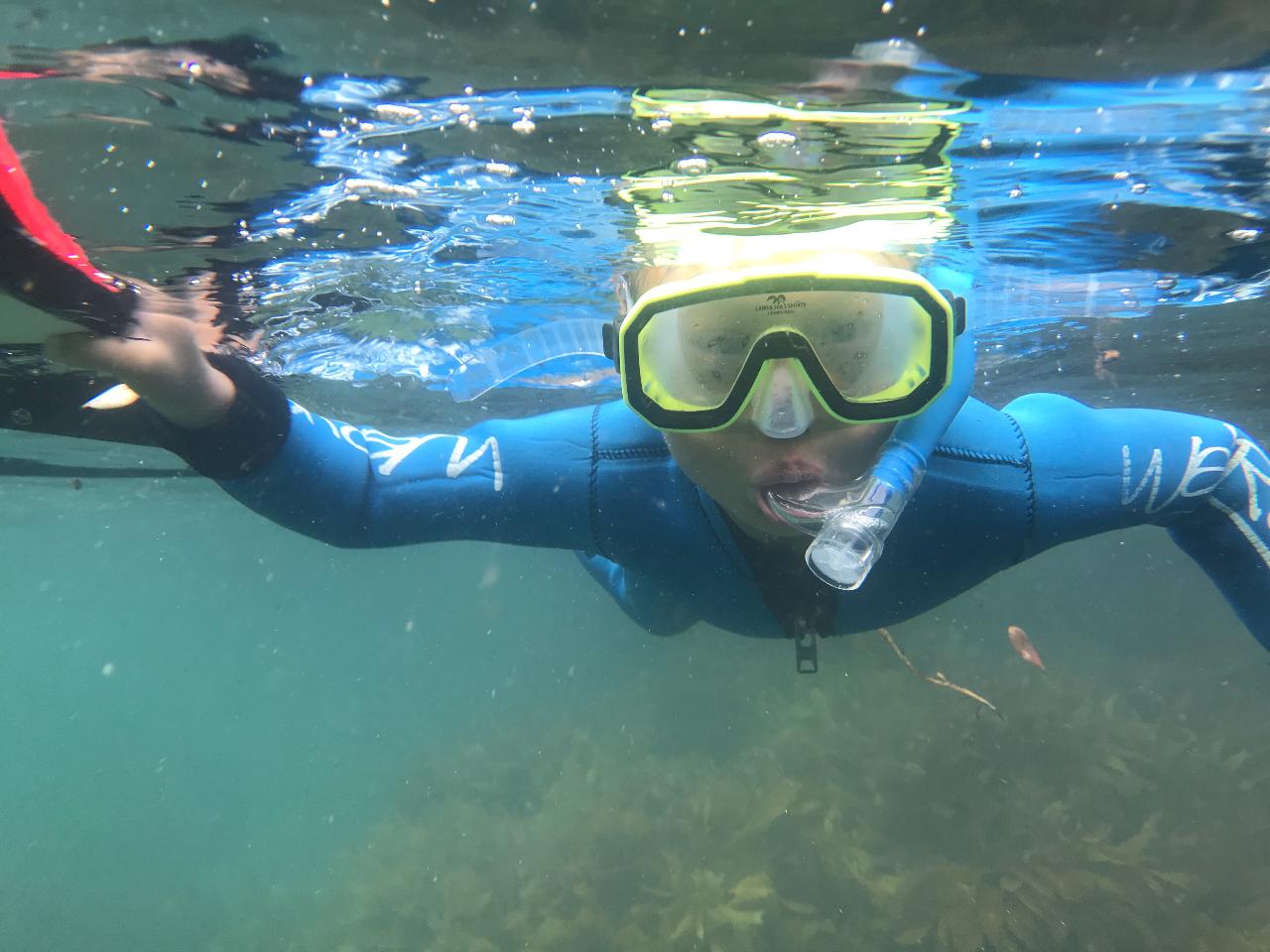 Guided Snorkel Tour Beginners