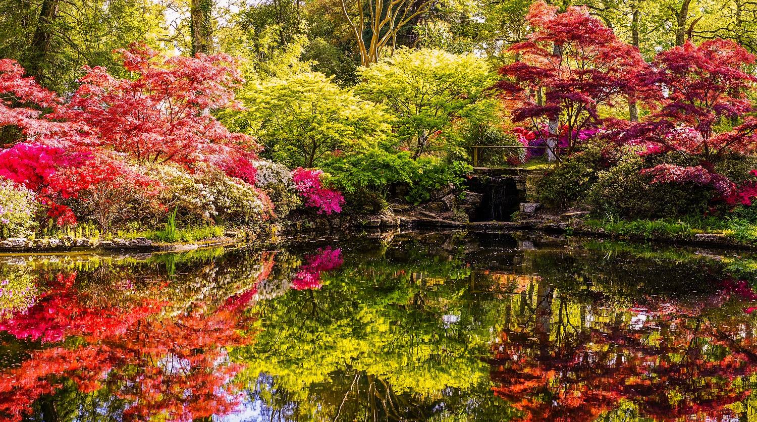 Exbury Gardens, Hampshire - Tue 4th May 2021 - Highcliffe Coach ...