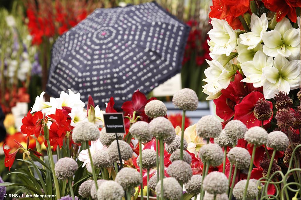 RHS Wisley Flower Show, Surrey - Thu 4th Sept 2025 - Highcliffe Coach ...